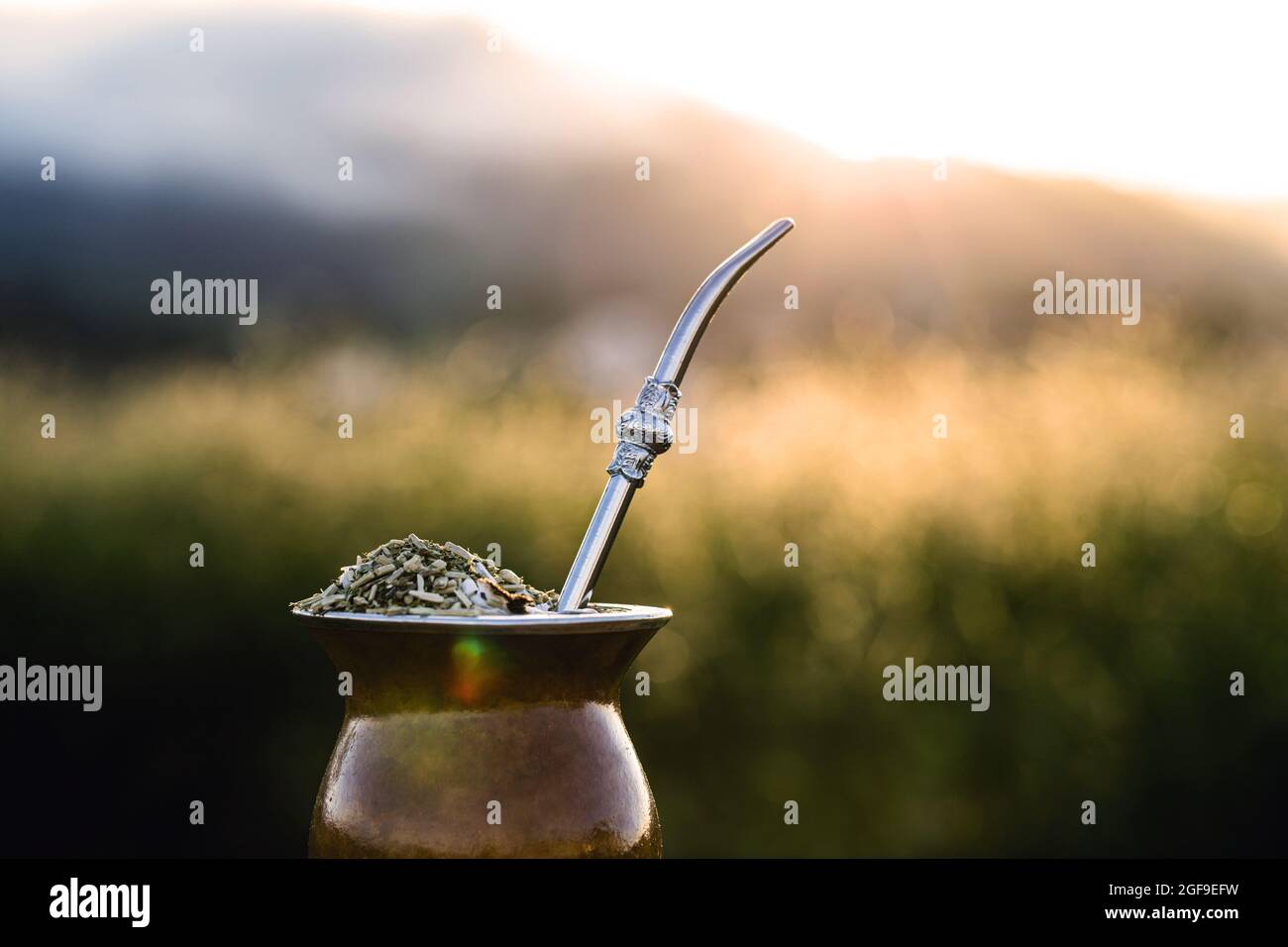 mate, mate drink served hot in winter with mountains in the background ...