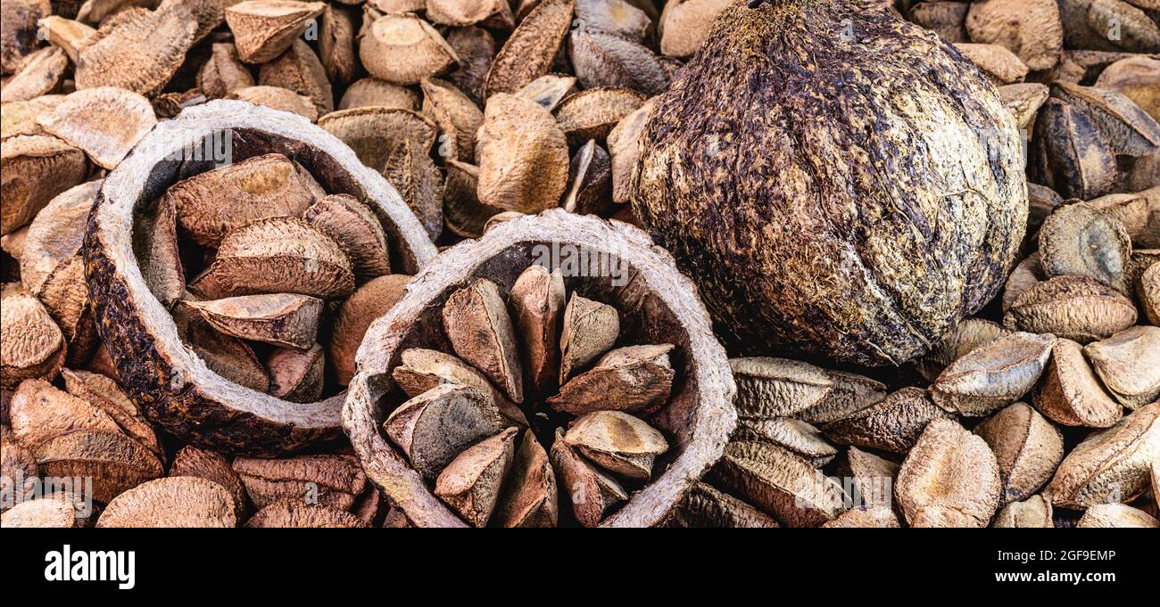 Brazil nut, originally from the Amazon, called "brazil nut", Brazilian ...