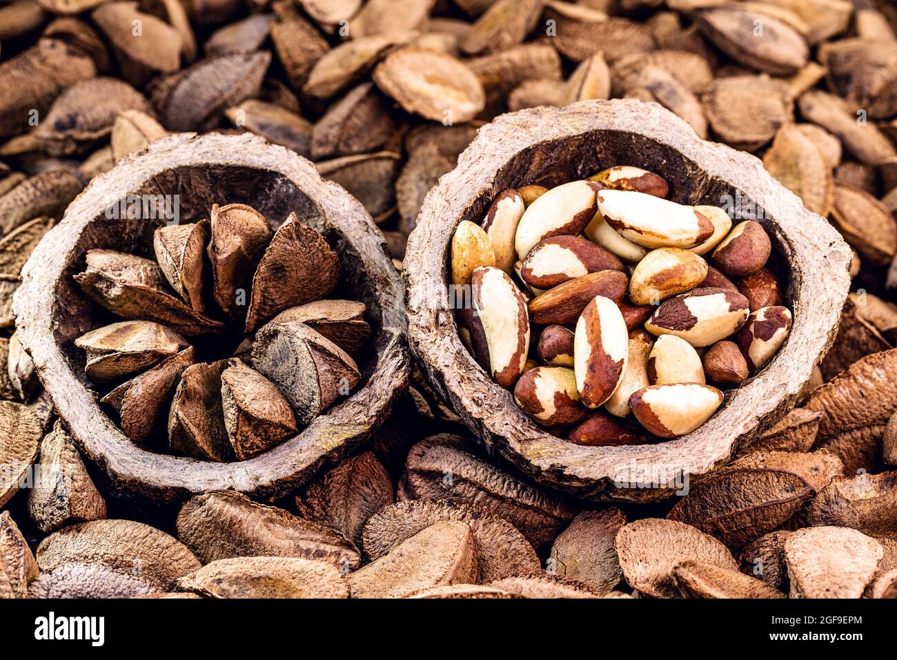 Brazil nut, originally from the Amazon, called "brazil nut", Brazilian ...
