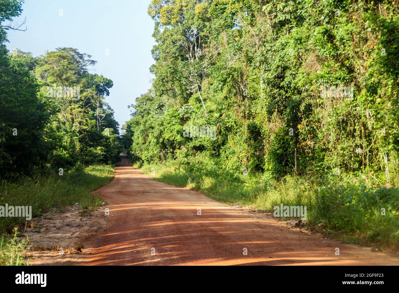 Road across the jungle in Guyana Stock Photo - Alamy