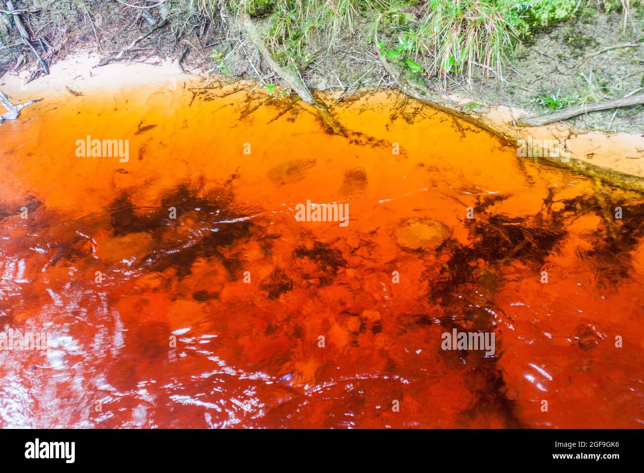 Red colored water of Churun river in National Park Canaima, Venezuela ...