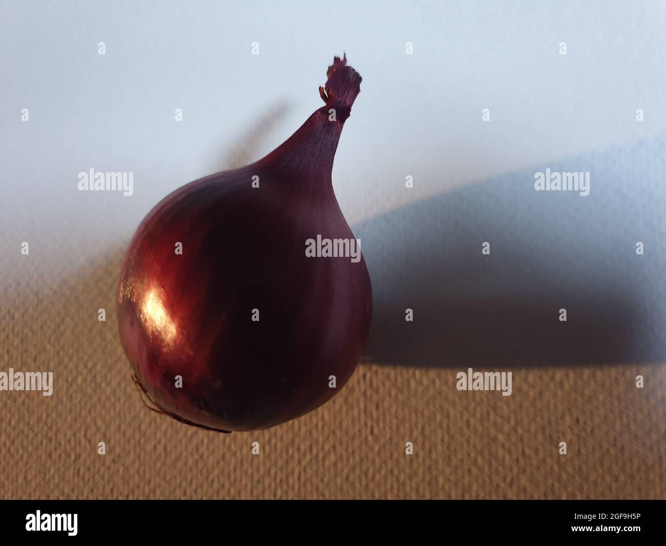 Eat onion hi-res stock photography and images - Alamy