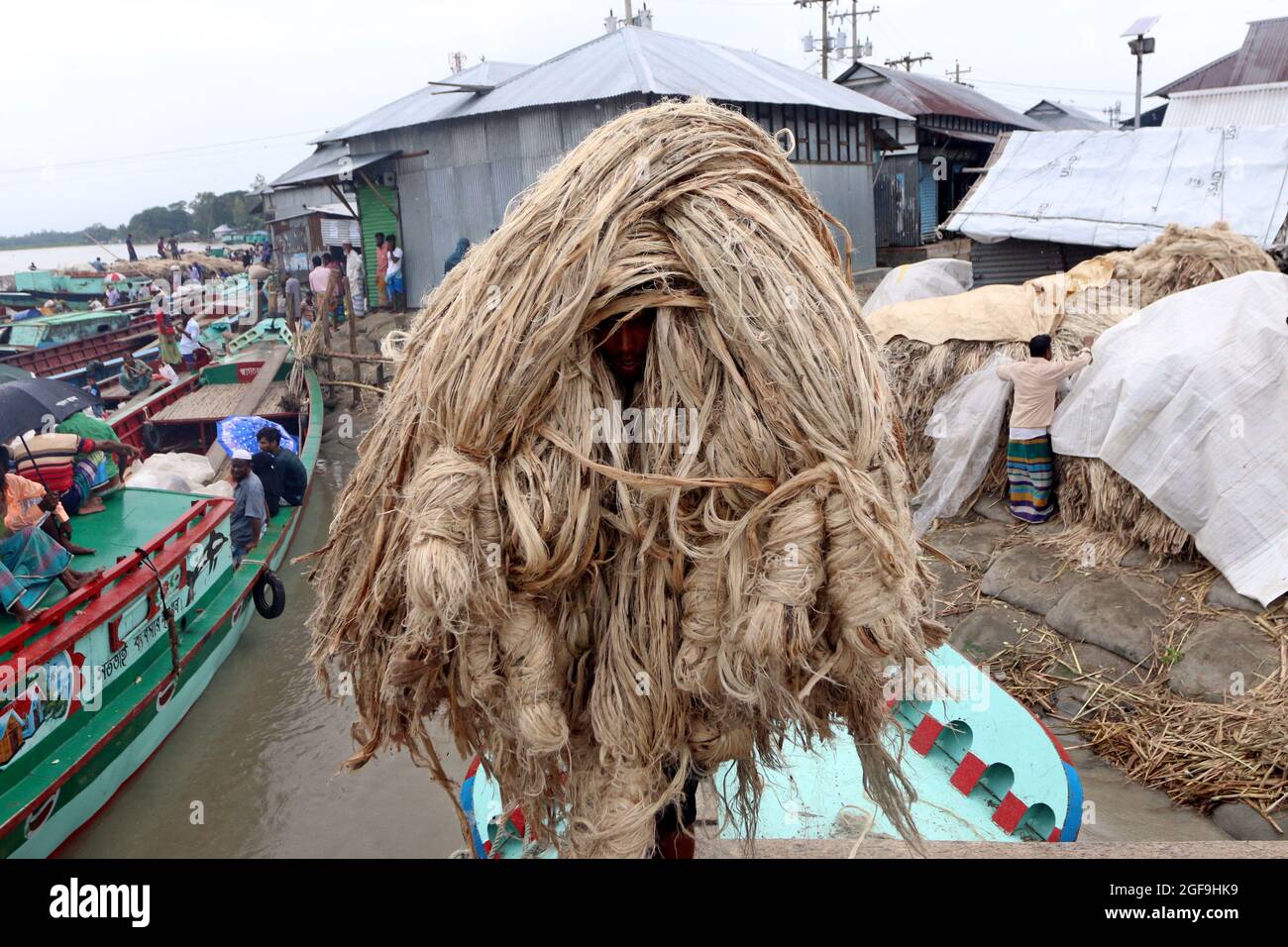 Laborers unload bundles of newly-harvested jute from boats beside a ...