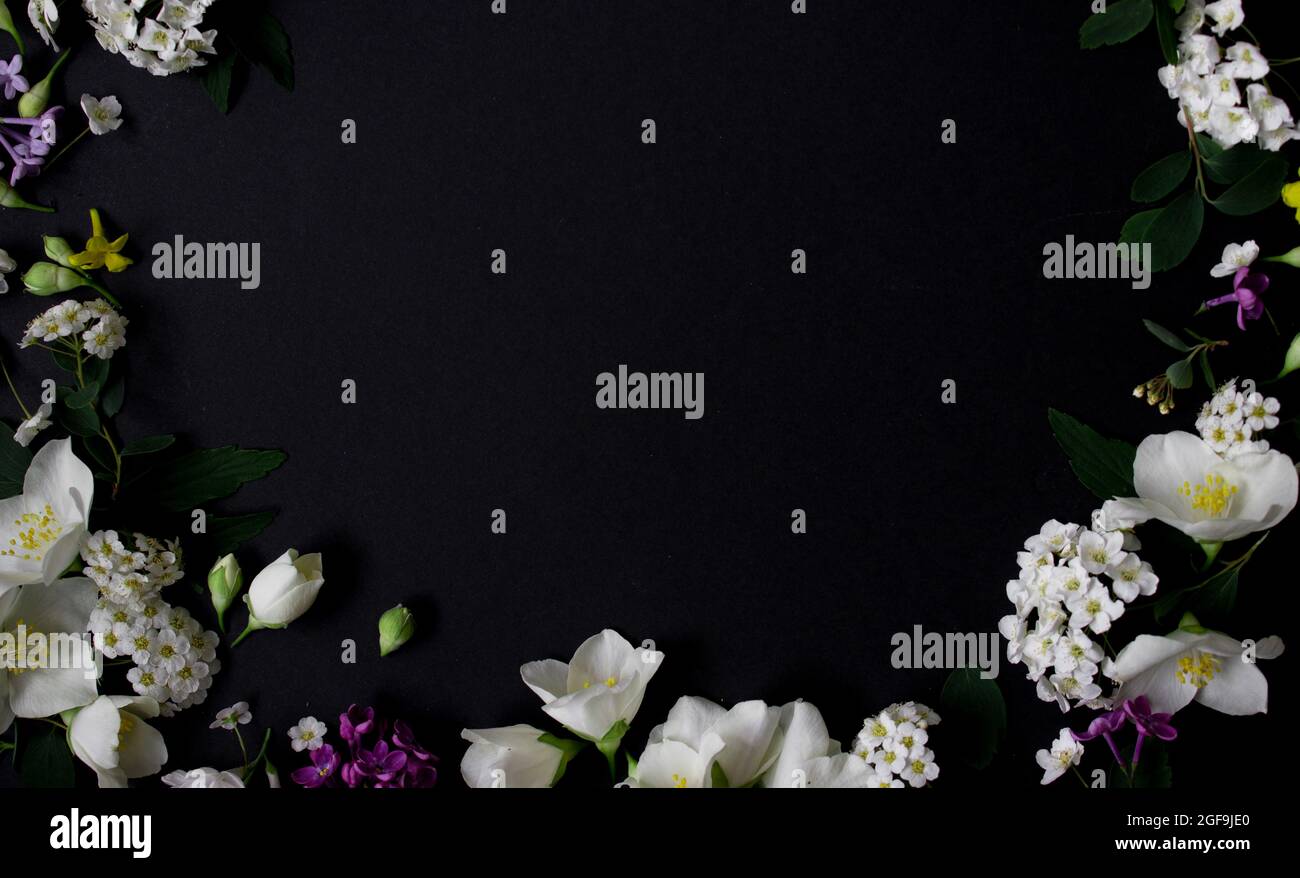 Floral frame made of Jasmine flowe isolated on white background Flowers ...