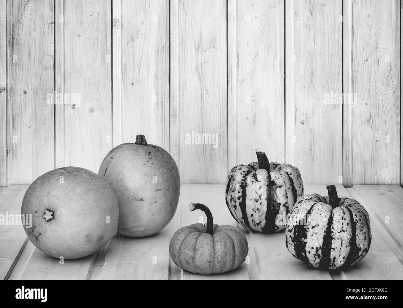 Grayscale of pumpkins of different sizes Stock Photo - Alamy