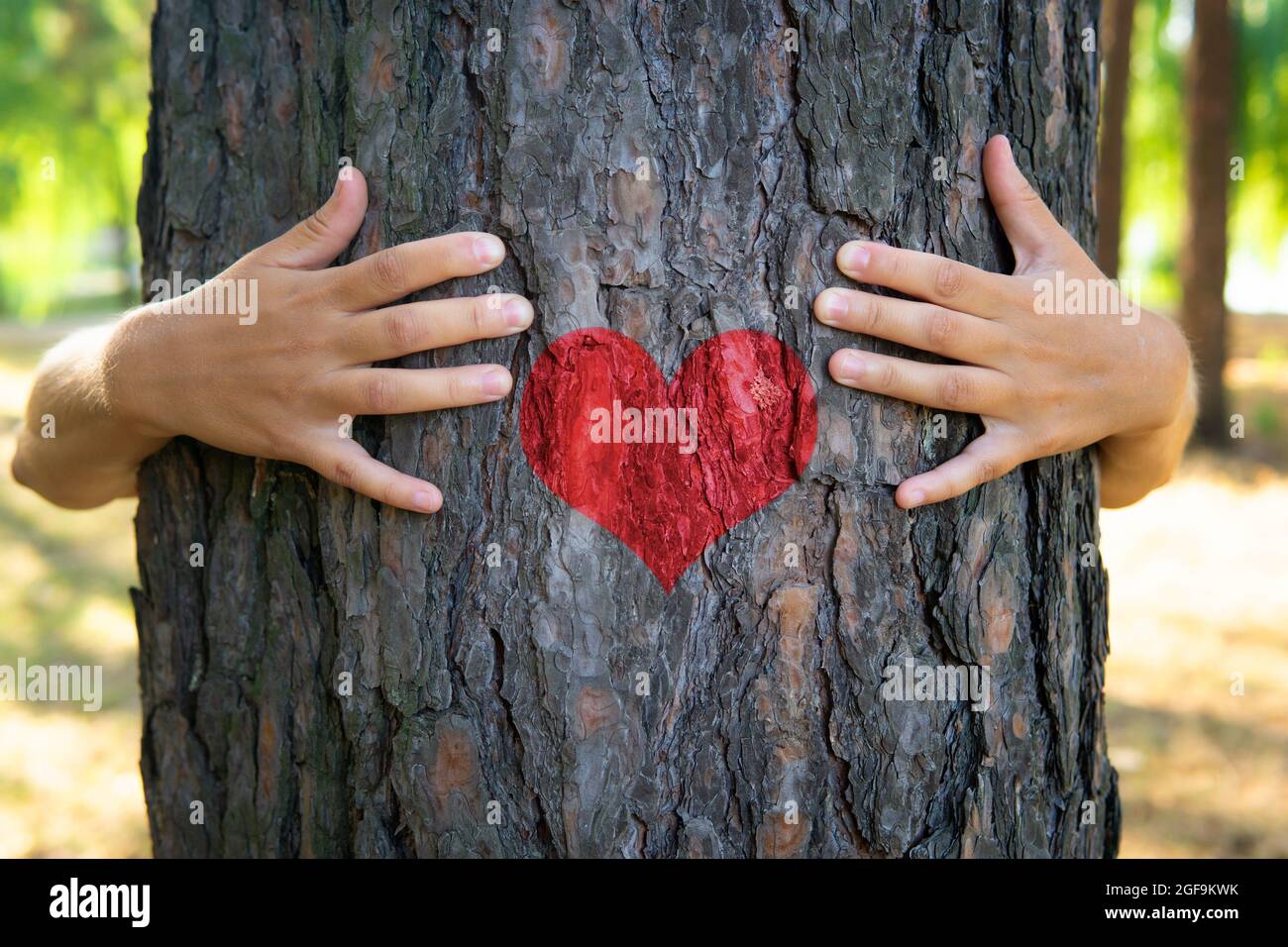 Close-up of female hands hugging a tree with a heart symbol painted on ...