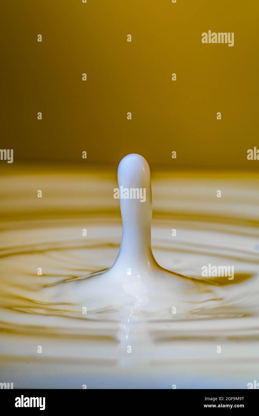 3d rendering of a drop falling on milk, cream in yellow tones Stock ...