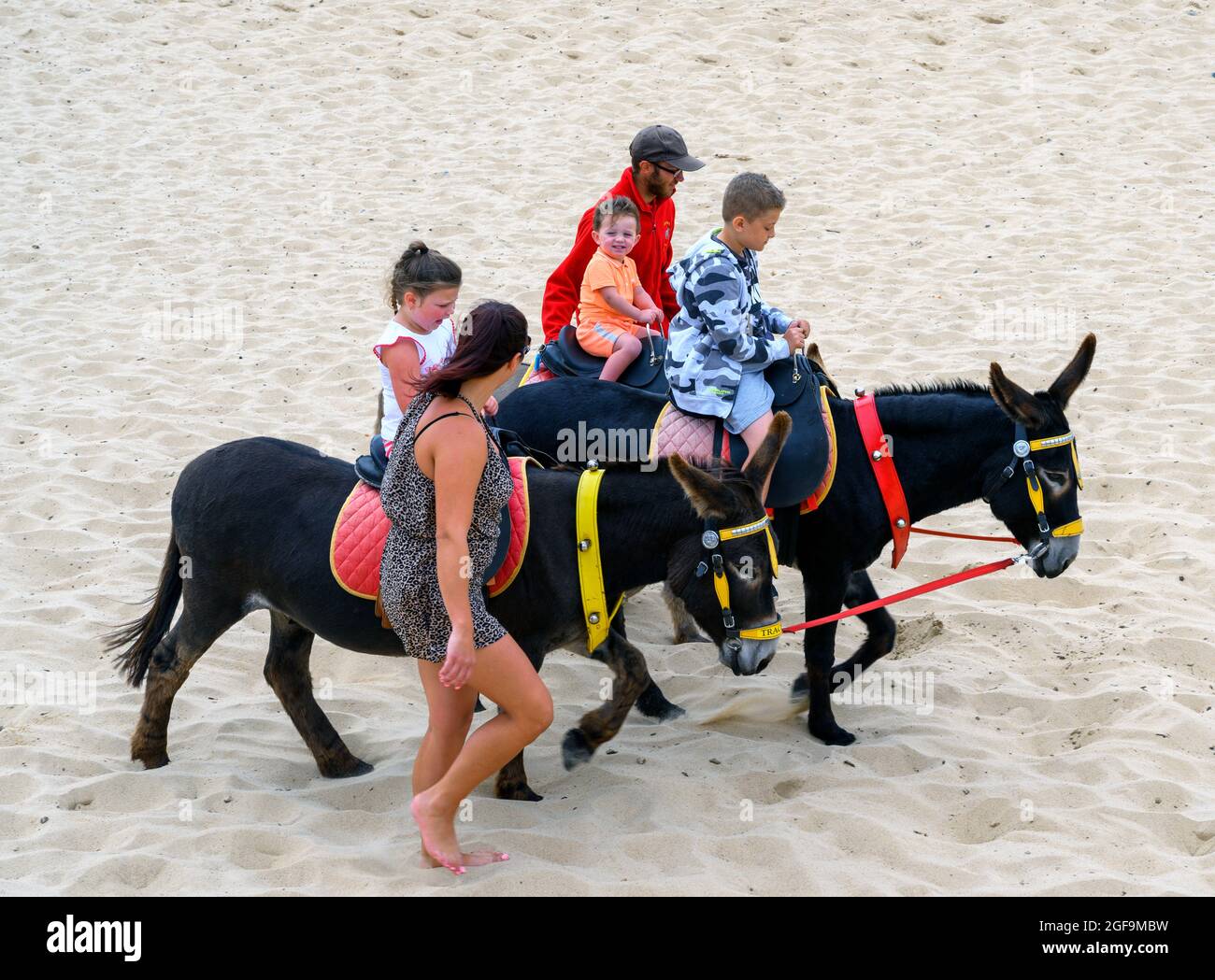 Donkey rides on beach uk hi-res stock photography and images - Alamy