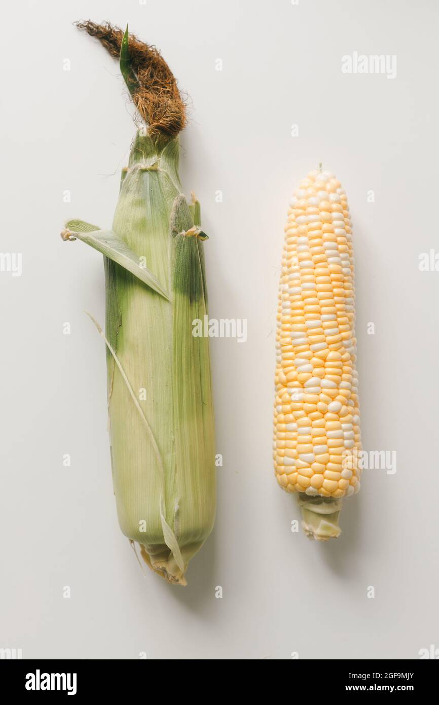 Fresh corn on cob with husk on white, flat lay, top view. Vegan food ...