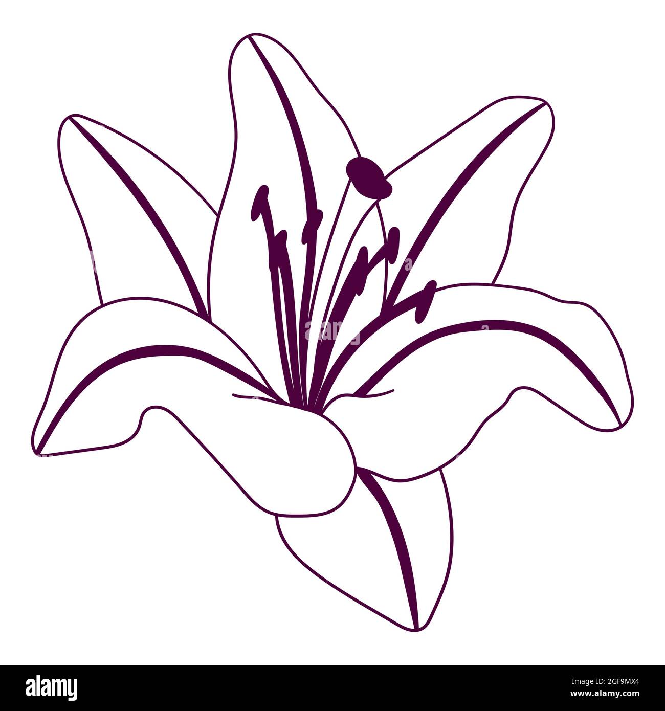 Illustration of stylized lily flower. Decorative image of beautiful bud ...