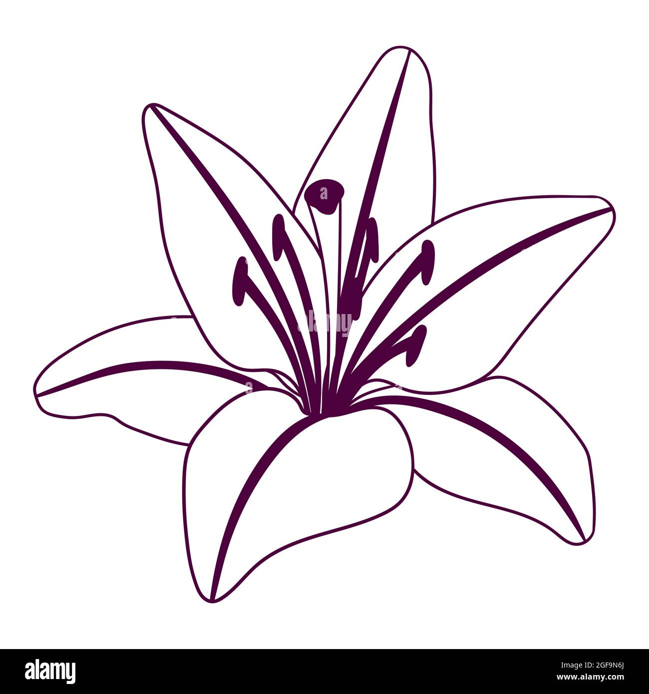 Illustration of stylized lily flower. Decorative image of beautiful bud ...