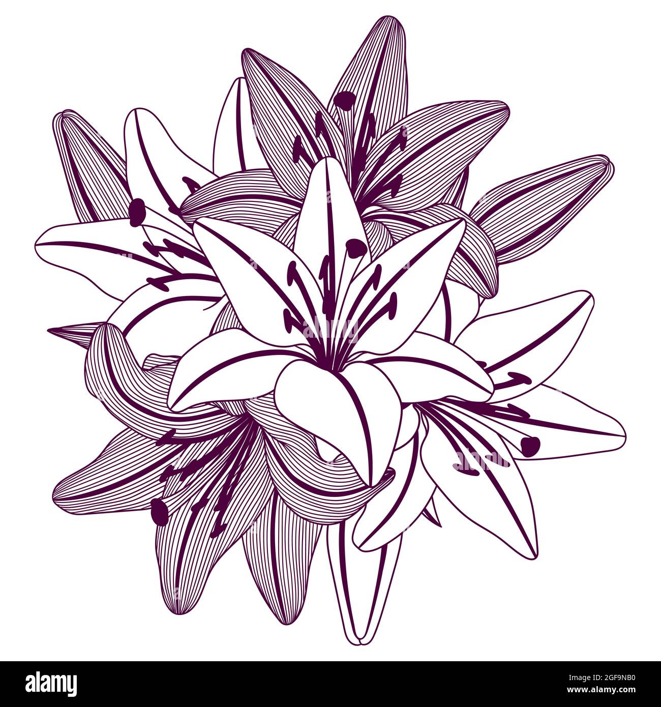 Background with stylized lily flowers. Decorative image of beautiful ...