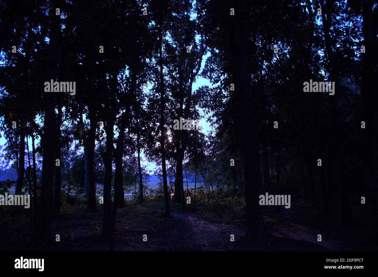 Human clouds and environment hi-res stock photography and images - Alamy