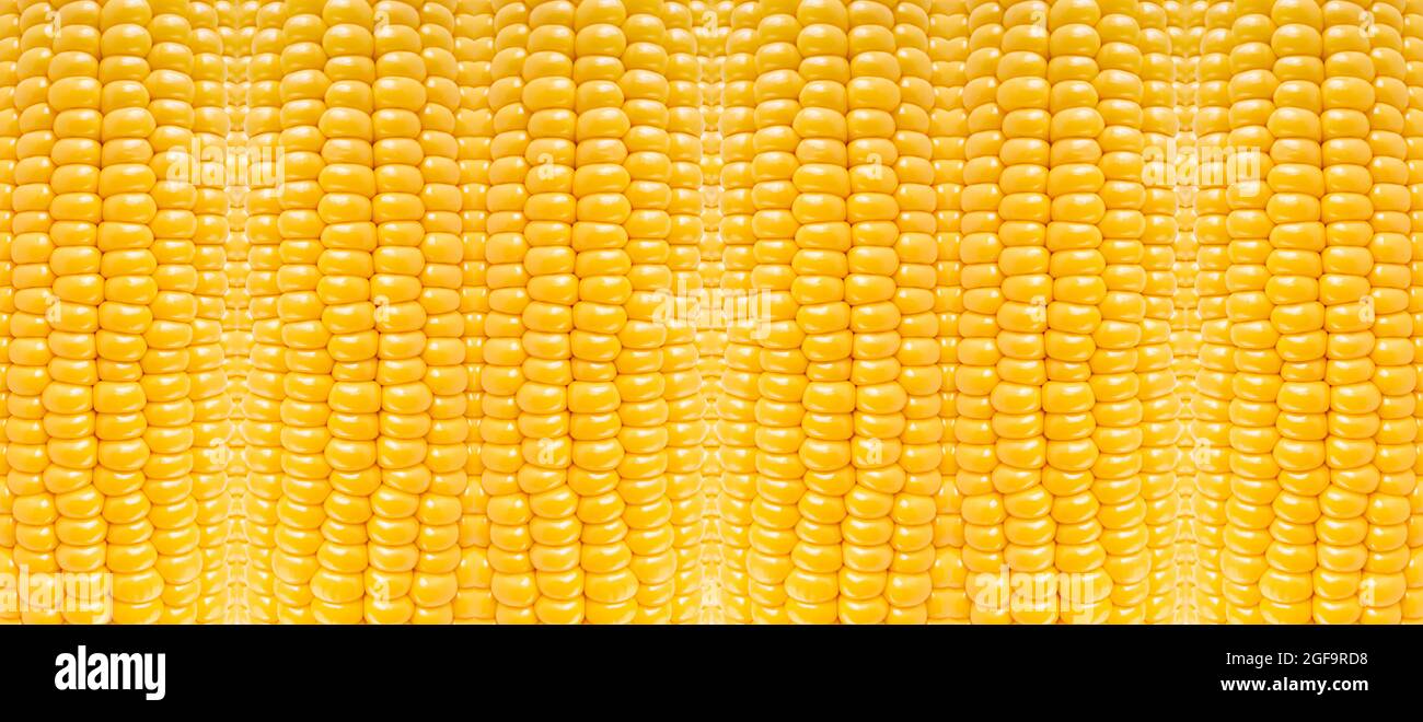 Yellow corn nature pattern, abstract vegetable texture background Stock ...