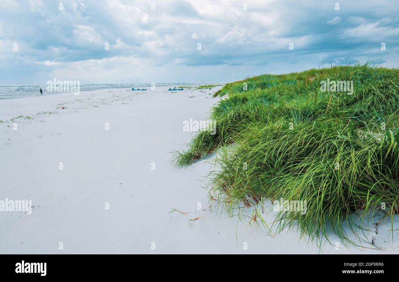 Dueodde, the white sandy beach on the south coast of Bornholm, Denmark ...