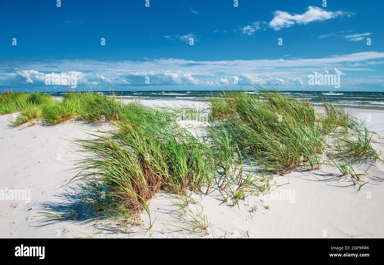 Dueodde, the white sandy beach on the south coast of Bornholm, Denmark ...