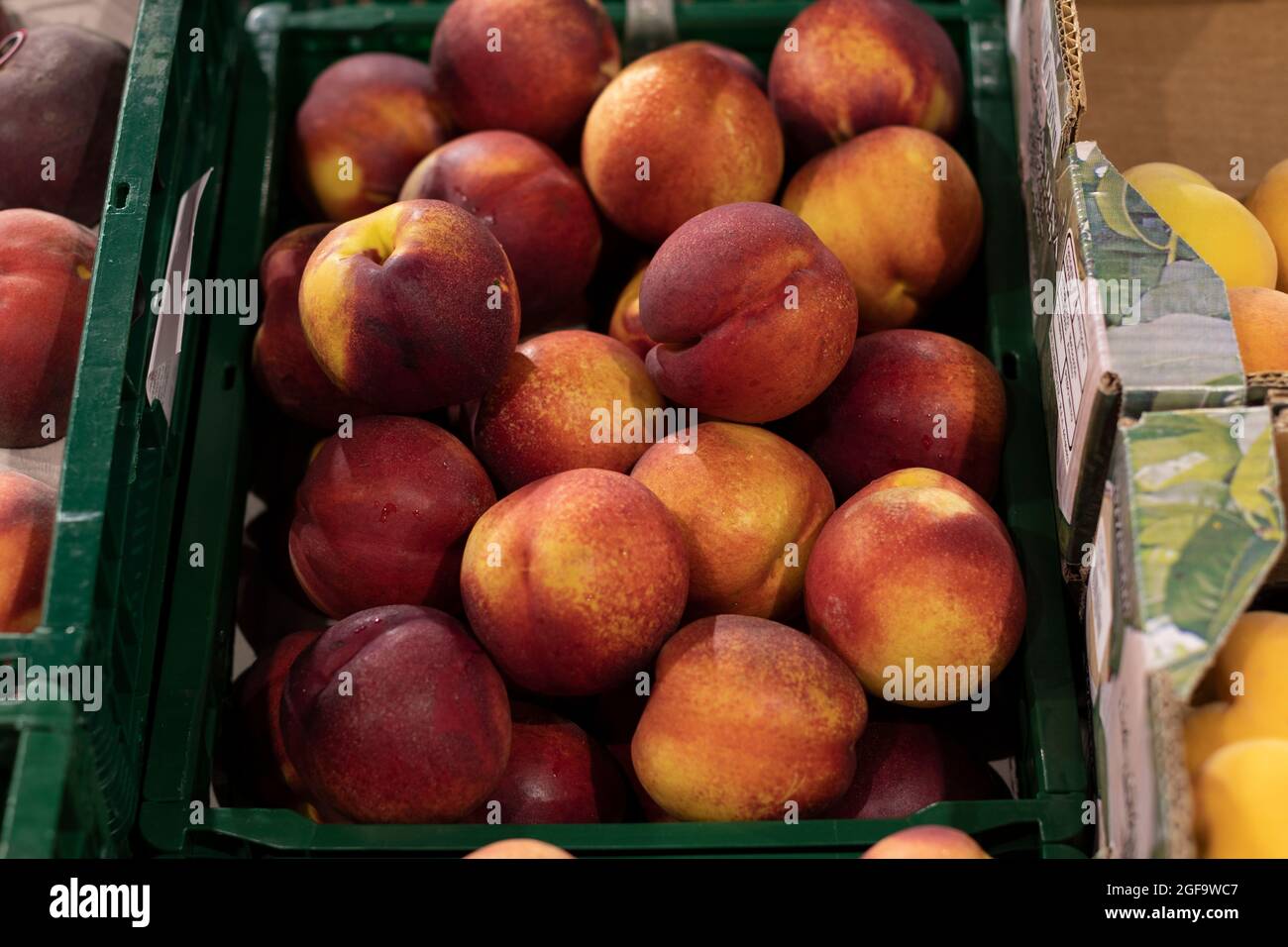 bright nectarines in the market Stock Photo - Alamy