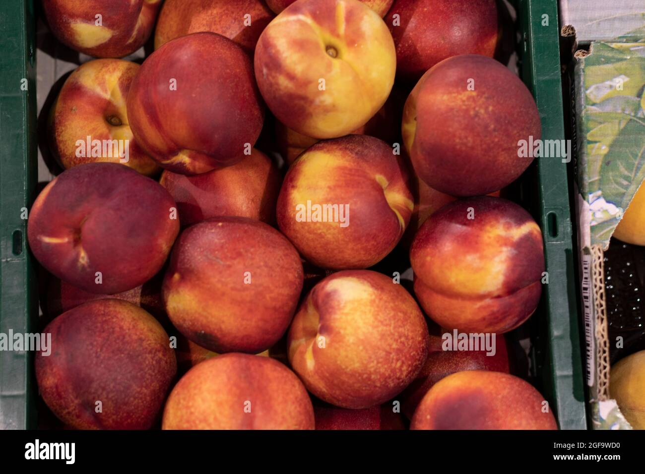 bright nectarines in the market Stock Photo - Alamy