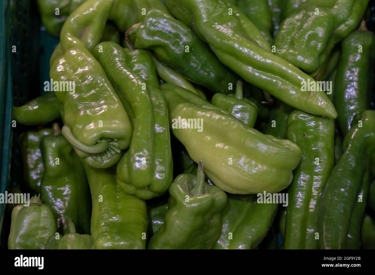 Italian garden produces hi-res stock photography and images - Alamy