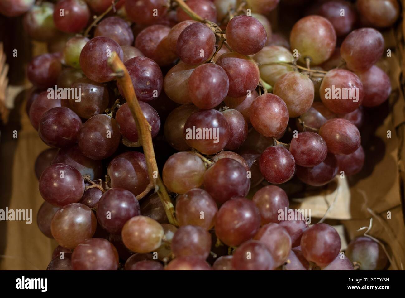 Ripe sweet red grapes, closed. In a market. Healthy life concept Stock ...