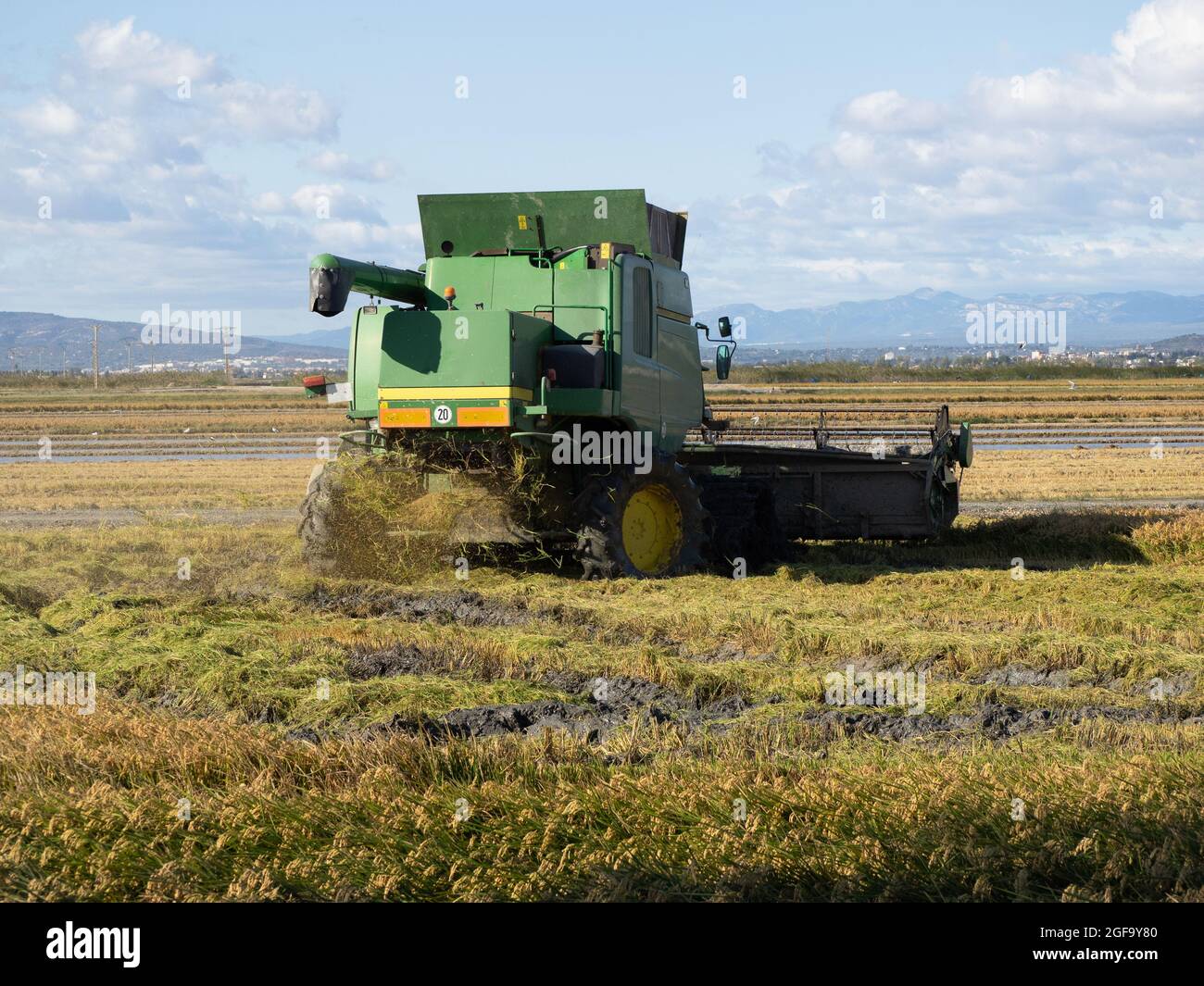 Combine harvester working a rice field hi-res stock photography and ...