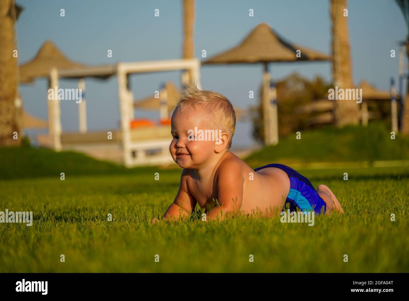 Green grass by the sea hi-res stock photography and images - Alamy