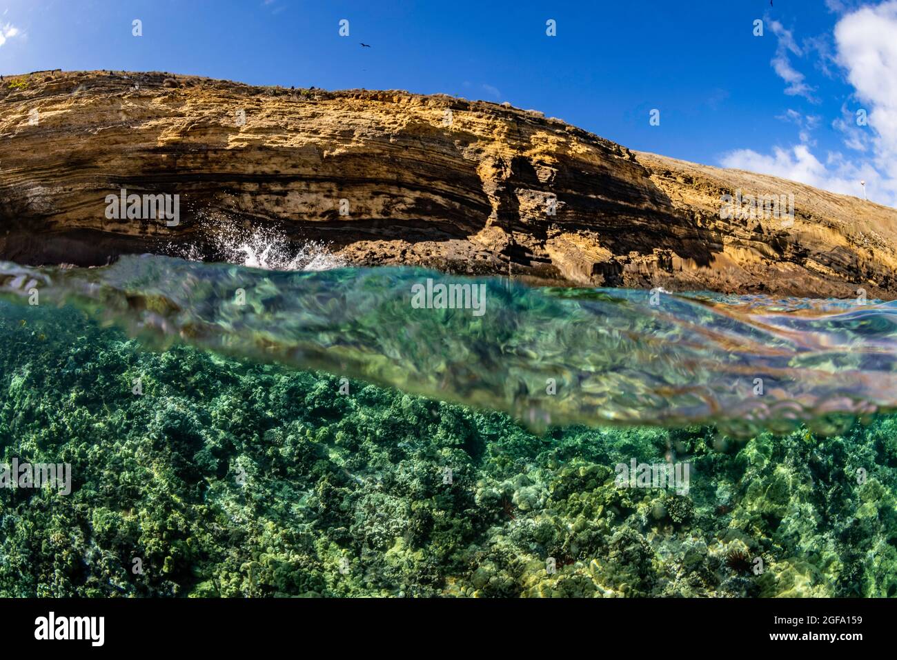 A split scene with a wave rolling over the shallow hard coral reef ...