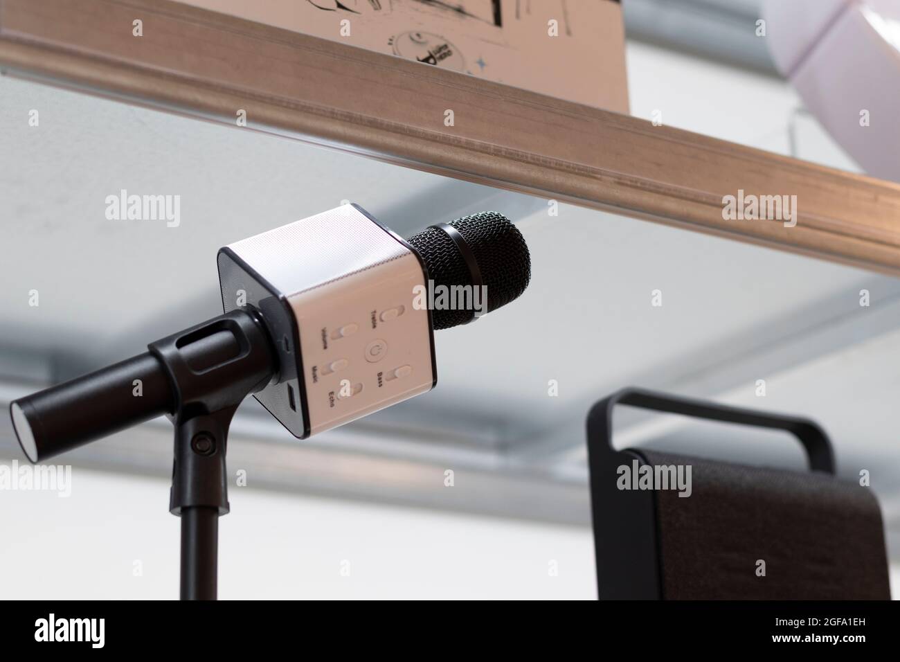 Condenser black white studio microphone . Streamer, podcasts, music ...