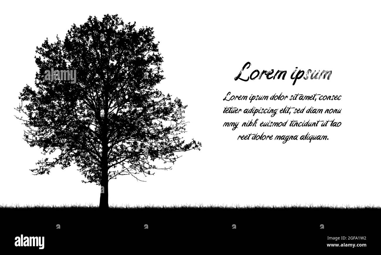 Rebelution Tree Design