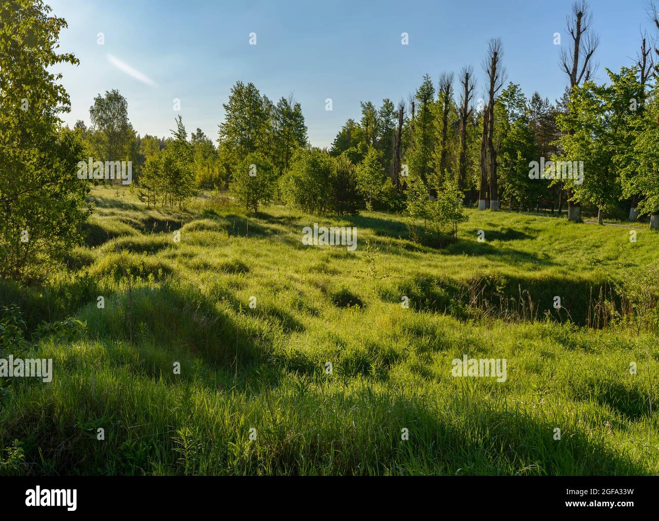 Left bank of the Neva, Kirovsky district, Leningrad region, Russia ...