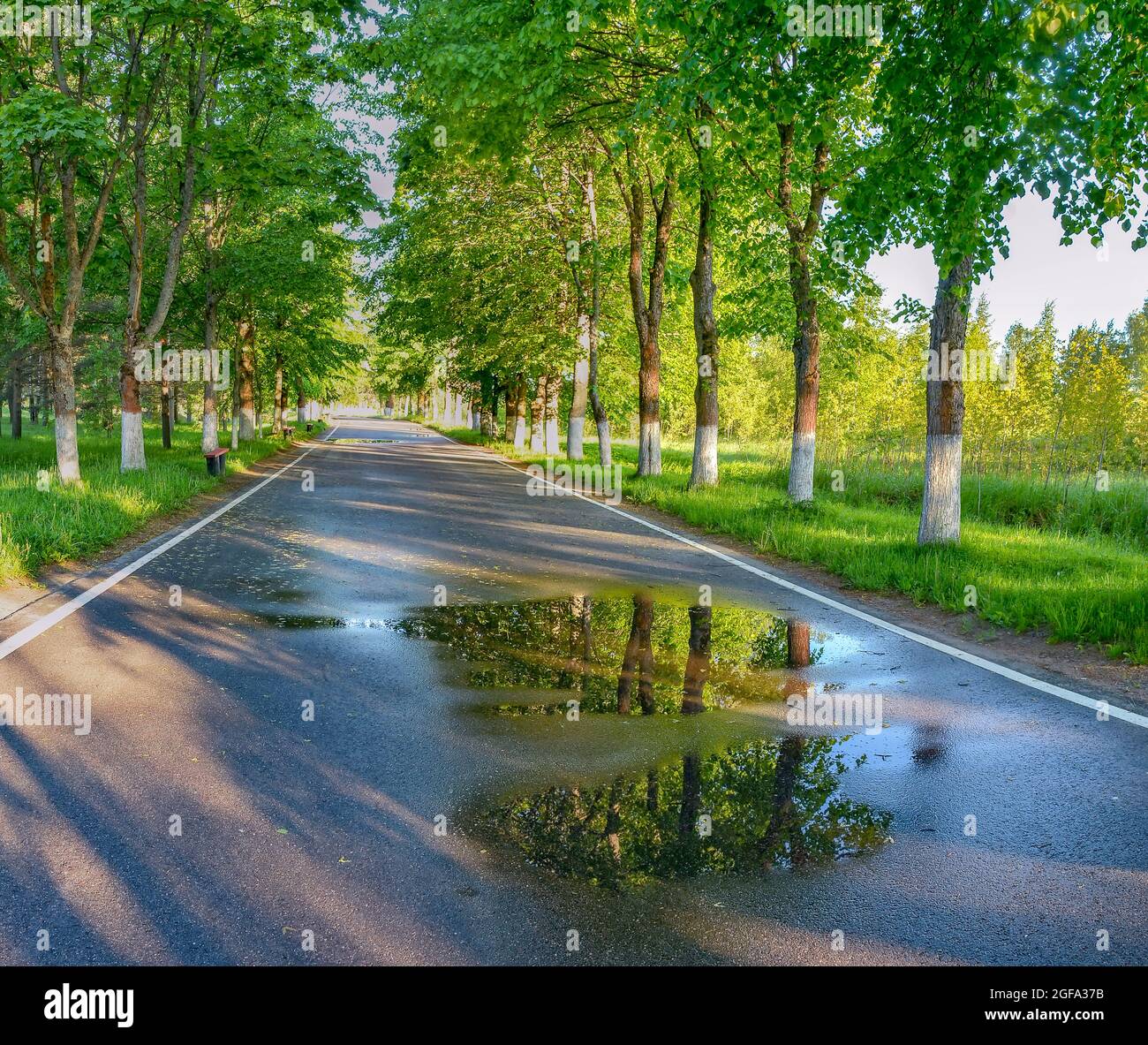 Left bank of the neva hi-res stock photography and images - Alamy
