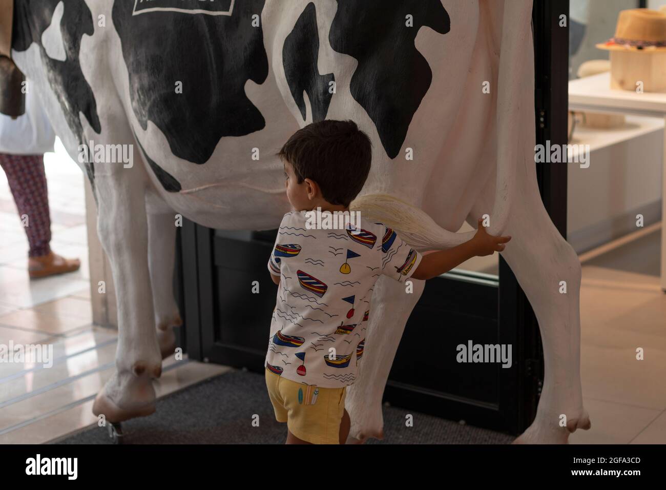 a child playing with an imitation of a cow, in real size Stock Photo ...