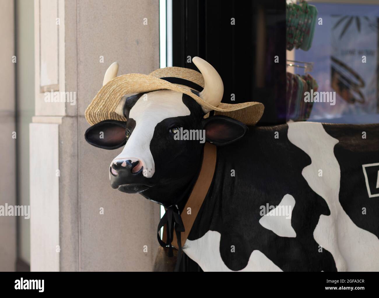 Fake cow hi-res stock photography and images - Alamy