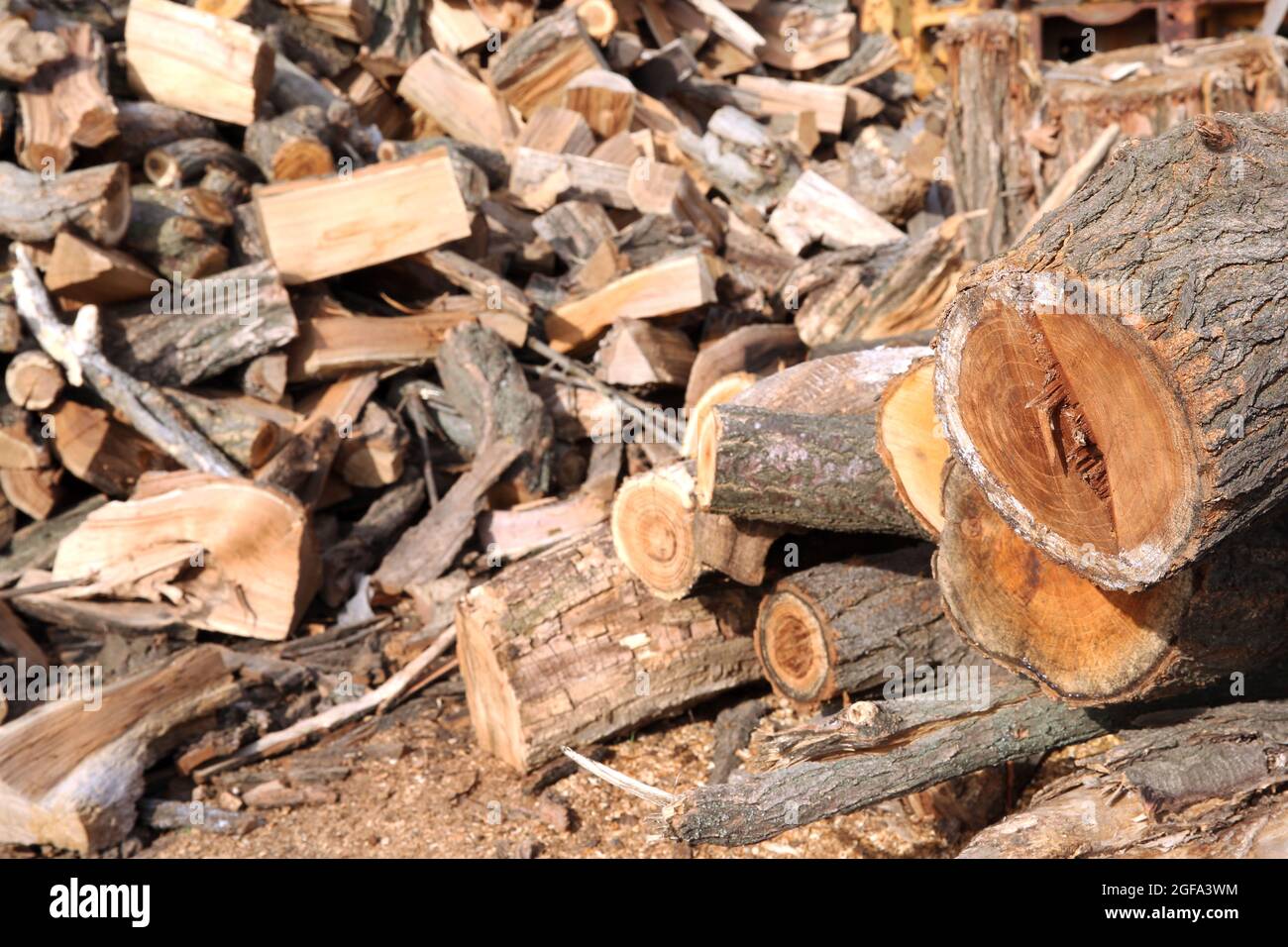 Chopped firewood background Stock Photo - Alamy
