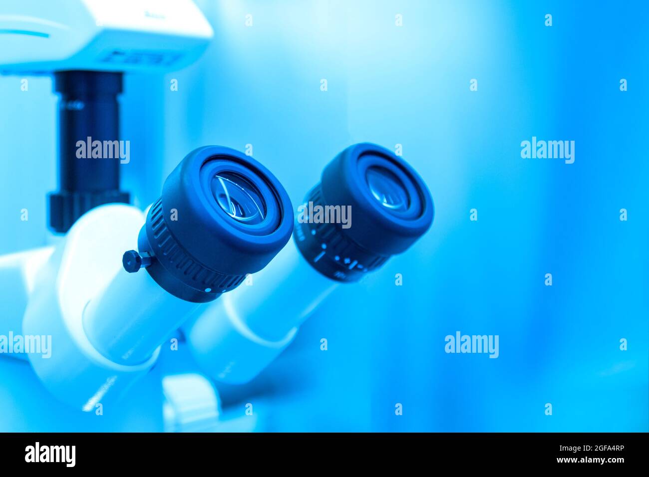 The eyepieces of a light or fluorescent microscope in a research ...