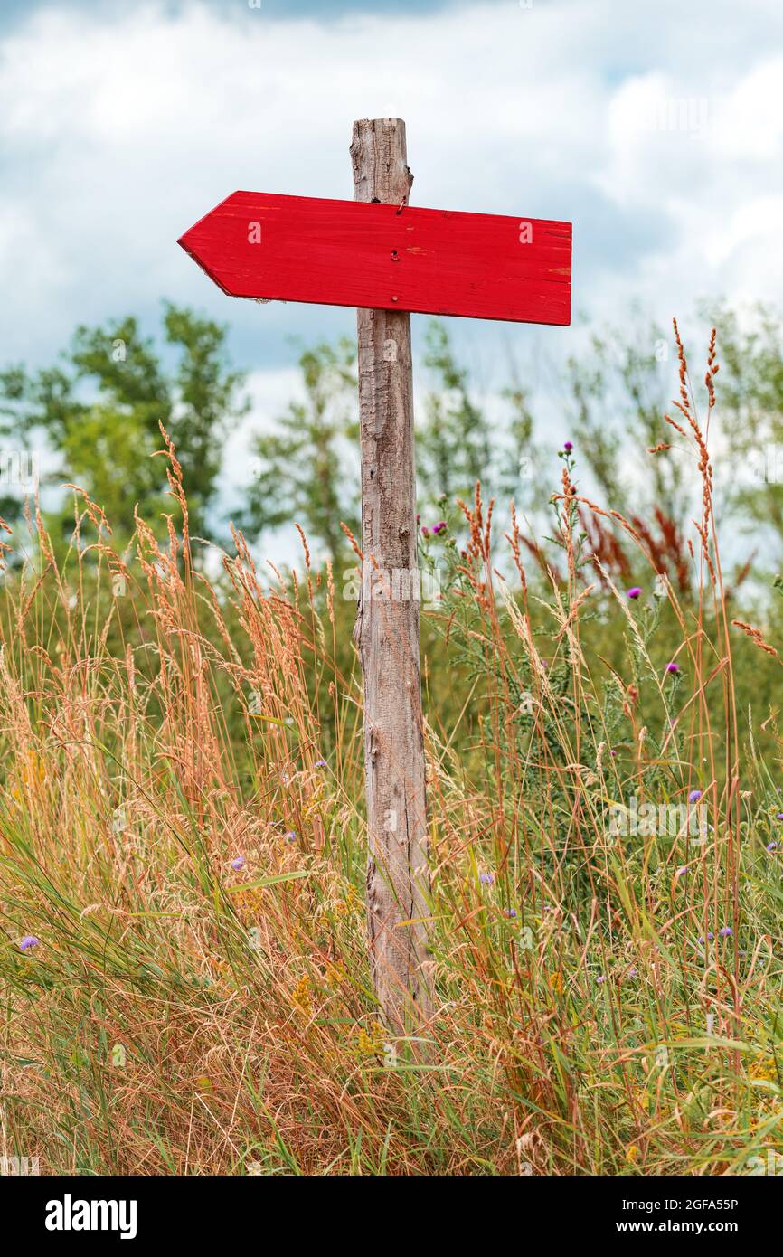 Handmade wooden direction sign in countryside meadow with blank signage ...