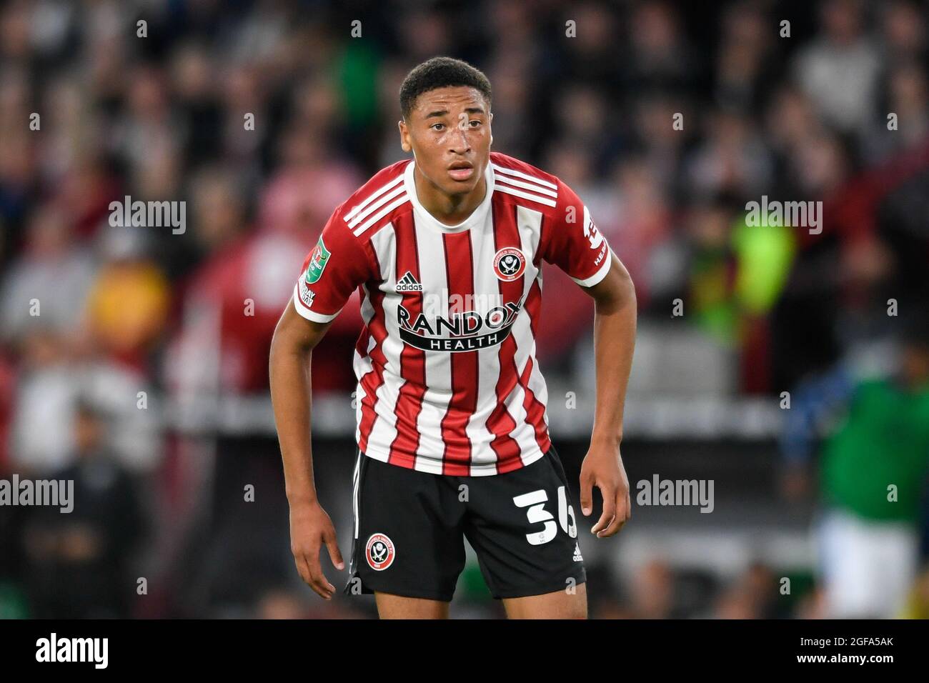 Daniel Jebbison #36 of Sheffield United in action during the game Stock ...