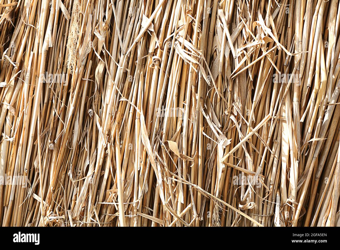 Dry straw background Stock Photo - Alamy
