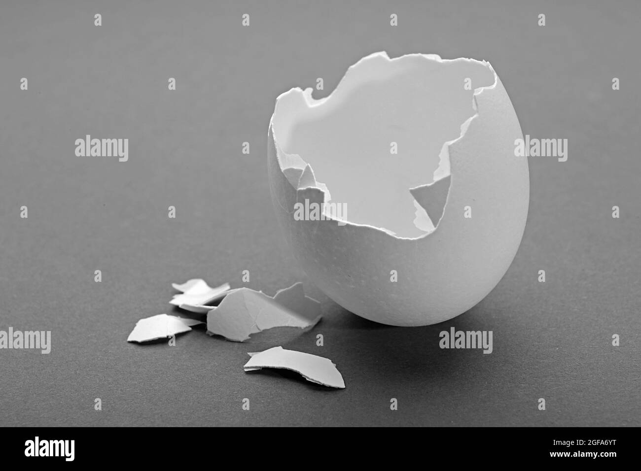 Cracked egg shell on grey background Stock Photo - Alamy