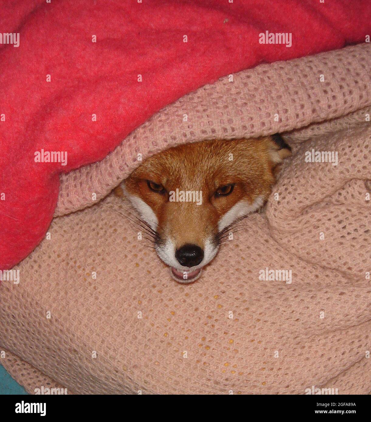 6 covers hi-res stock photography and images - Alamy