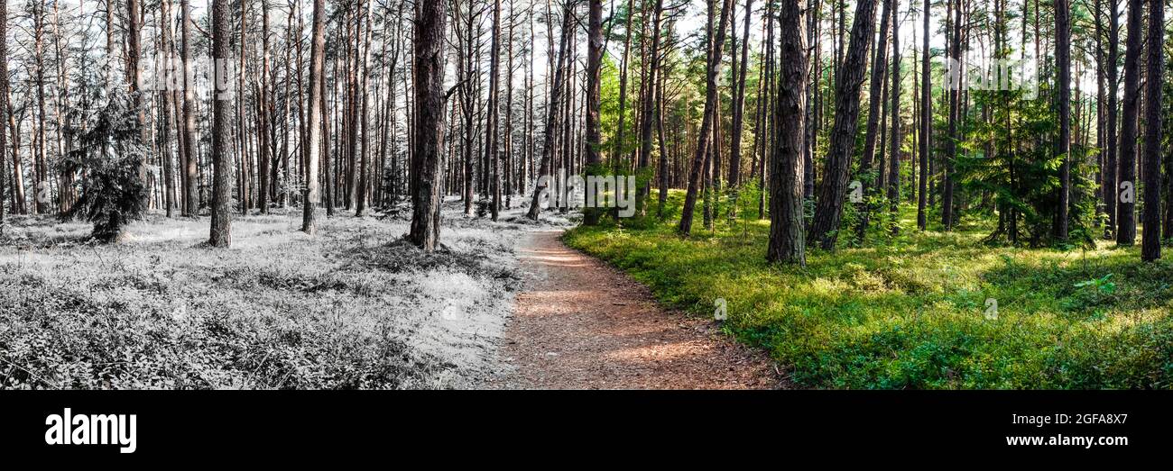 Summer and winter are combined in one photo. Change of winter and ...