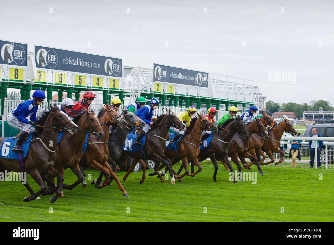 Horse out of starting gate hi-res stock photography and images - Alamy