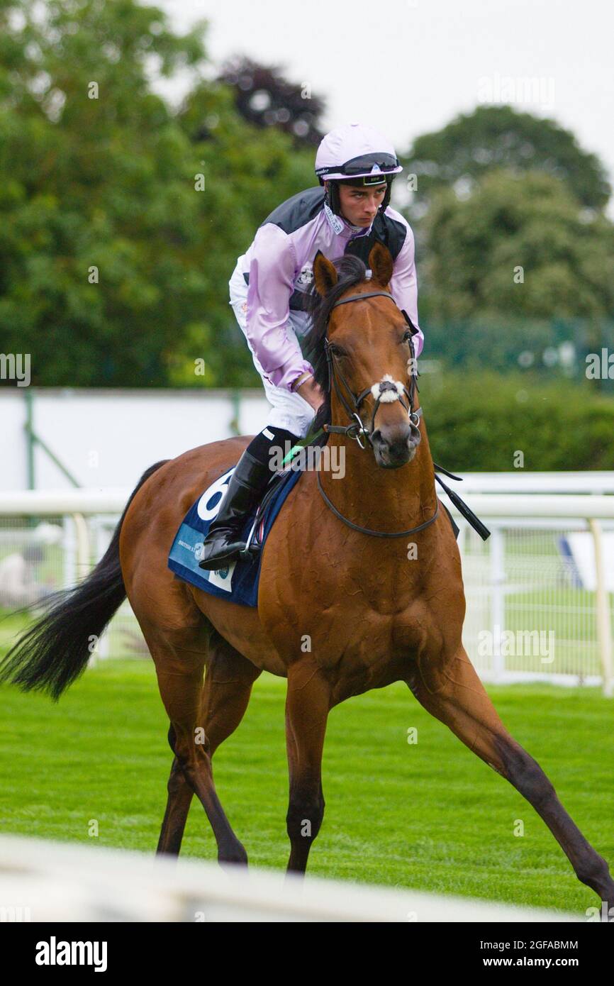 Jockey Rossa Ryan on Dream Show riding to the start of a race during ...