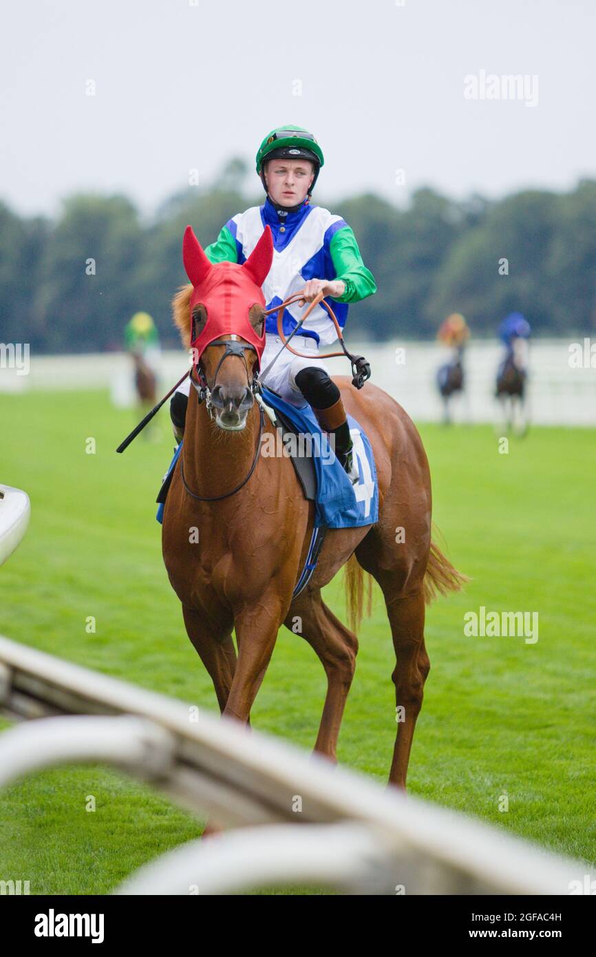 Jockey Adam Farragher riding to the start of a race at York Races Stock ...