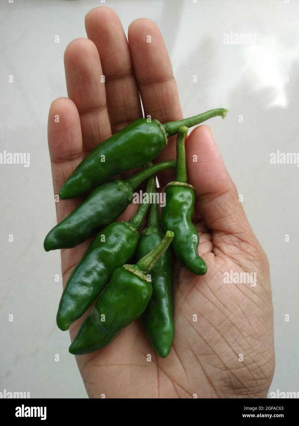 Vertical shot of green chili peppers on a hand Stock Photo - Alamy