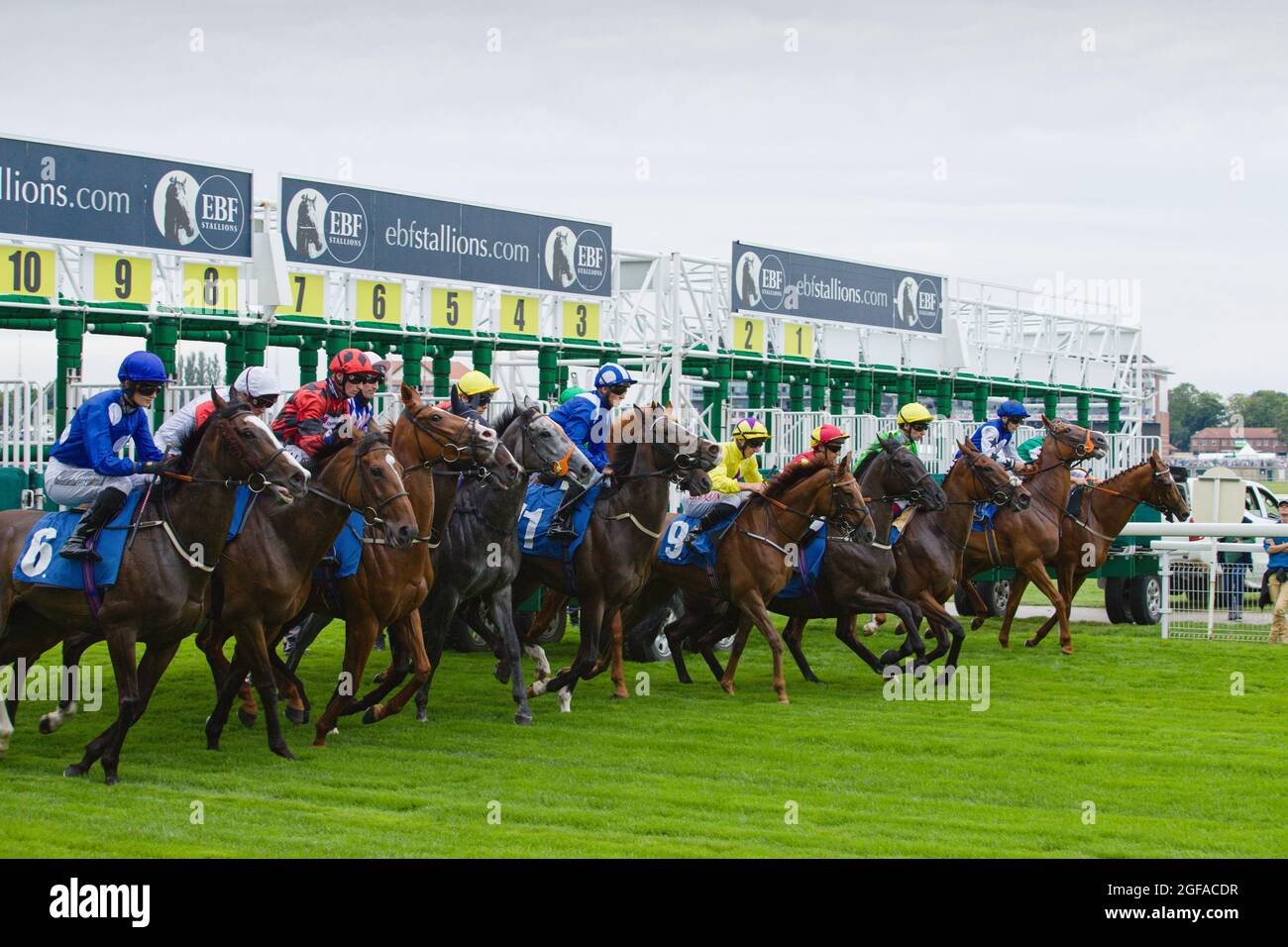 Horse out of starting gate hi-res stock photography and images - Alamy