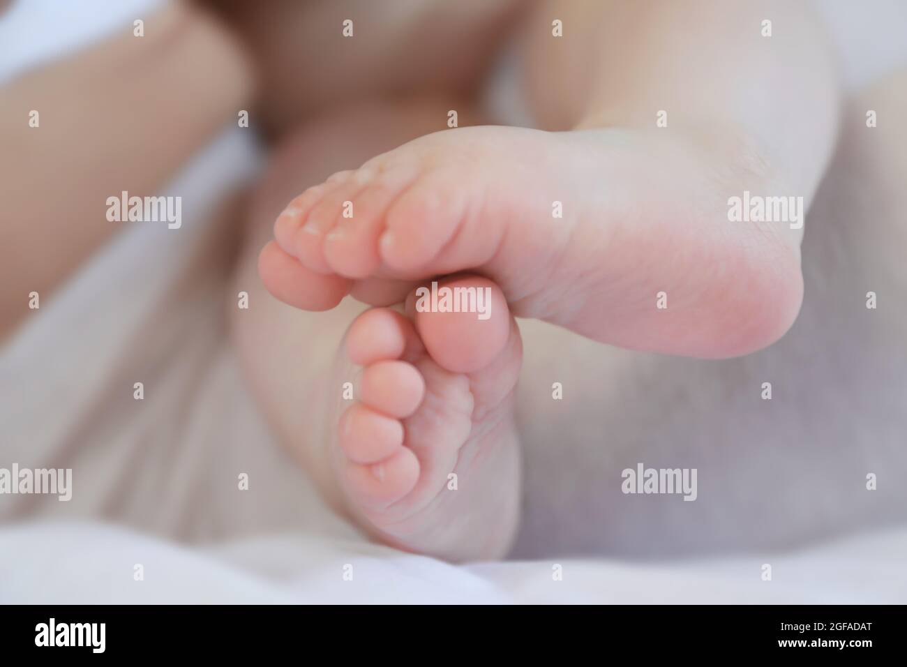 Baby's feet, close up Stock Photo - Alamy