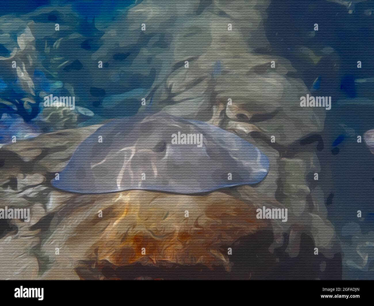 Conservation stingray hi-res stock photography and images - Alamy