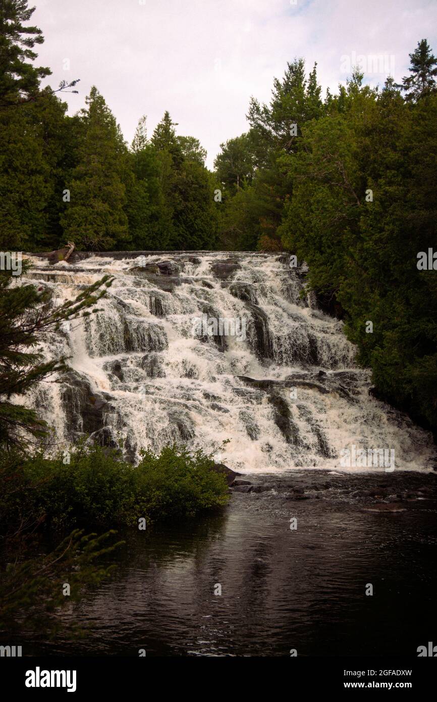 Beautiful vertical shot forest hi-res stock photography and images - Alamy