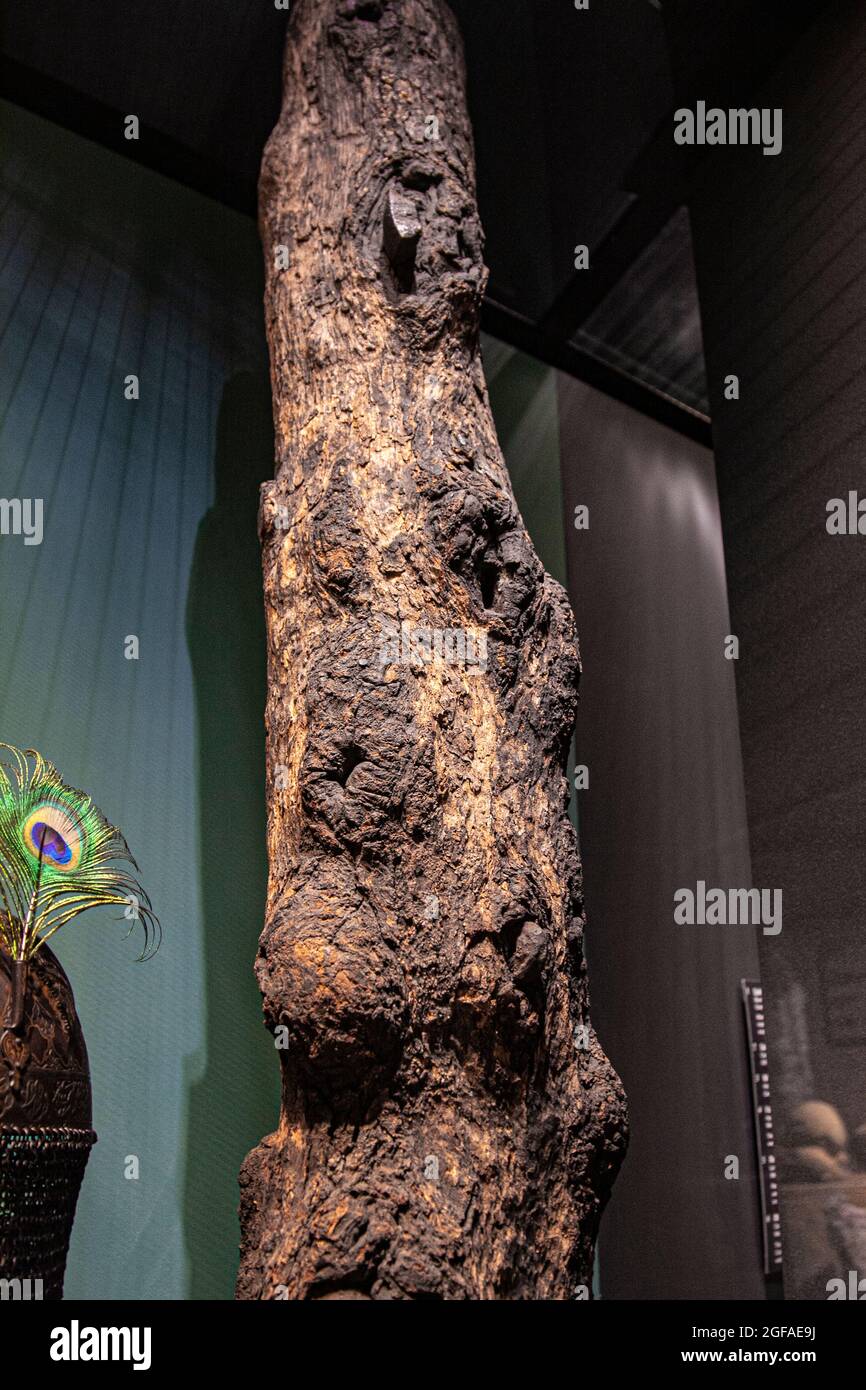 Greenwich Connecticut, Bruce Museum Stock Photo - Alamy